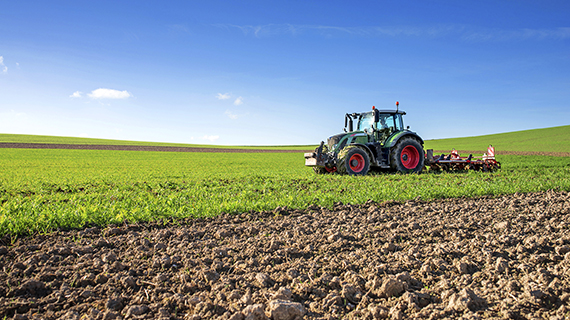 MSC Agriculture Colleges In India | Dolphin (PG) College of Science & Agriculture